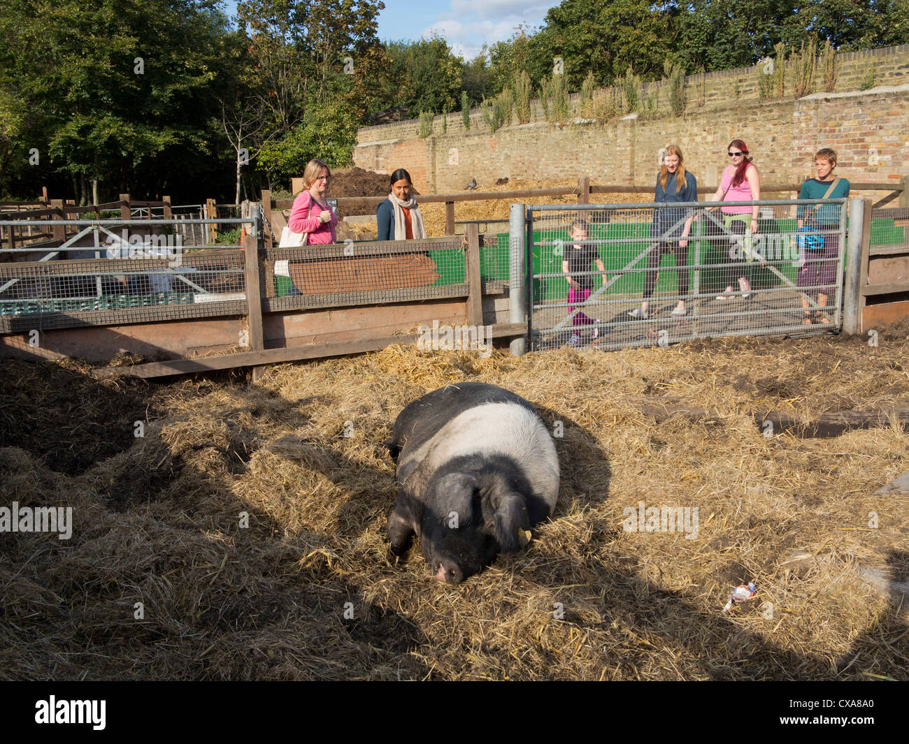 City farm for families hi-res stock photography and images - Alamy