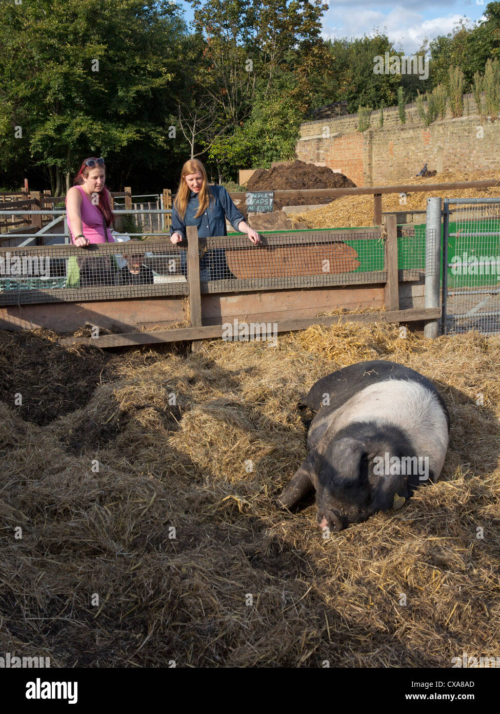 Families visiting hi-res stock photography and images - Alamy