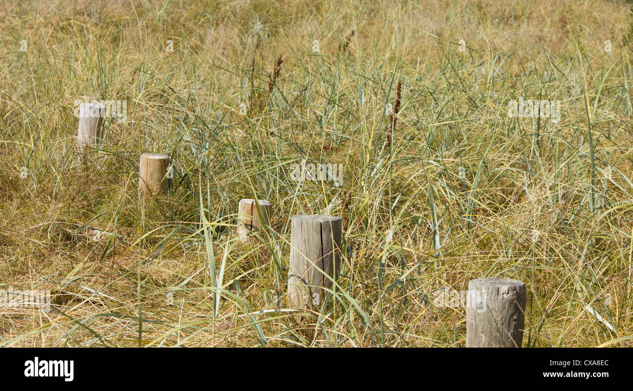 Wooden edging hi-res stock photography and images - Alamy