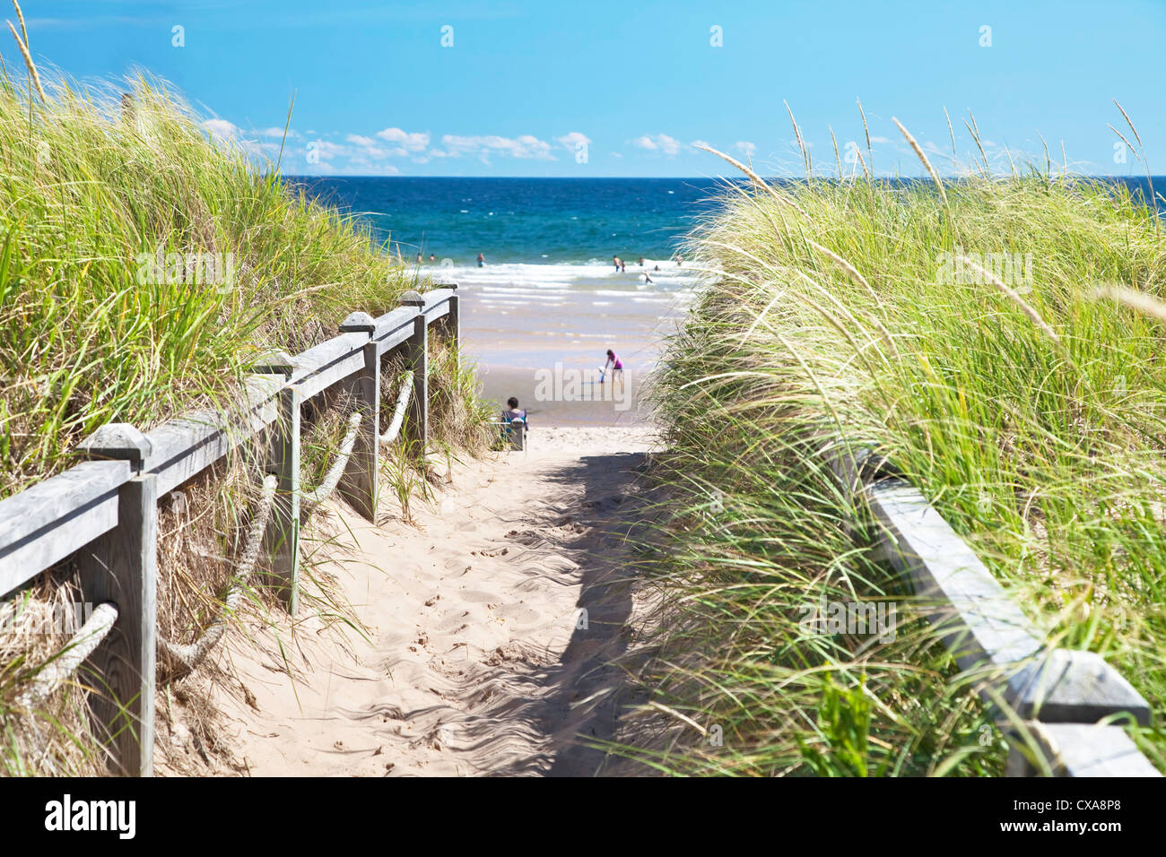 Prince edward island basin head hi-res stock photography and images - Alamy