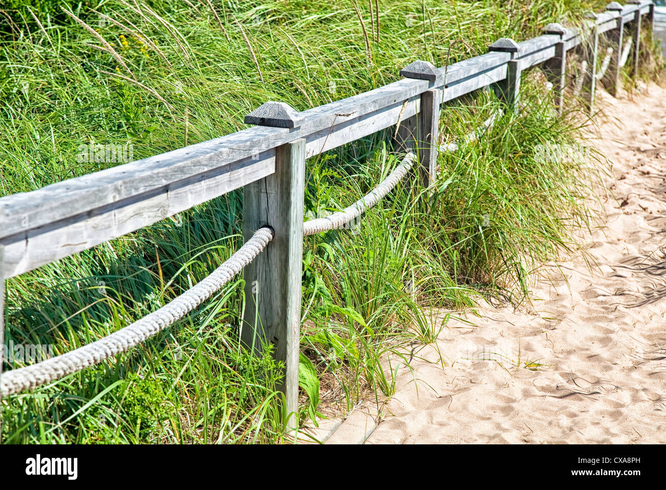 Dune walkway hi-res stock photography and images - Alamy