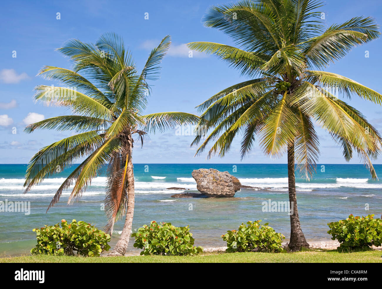 Barbados atlantic ocean High Resolution Stock Photography and Images ...