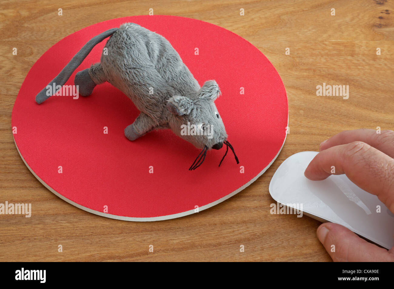 Toy computer hi-res stock photography and images - Alamy