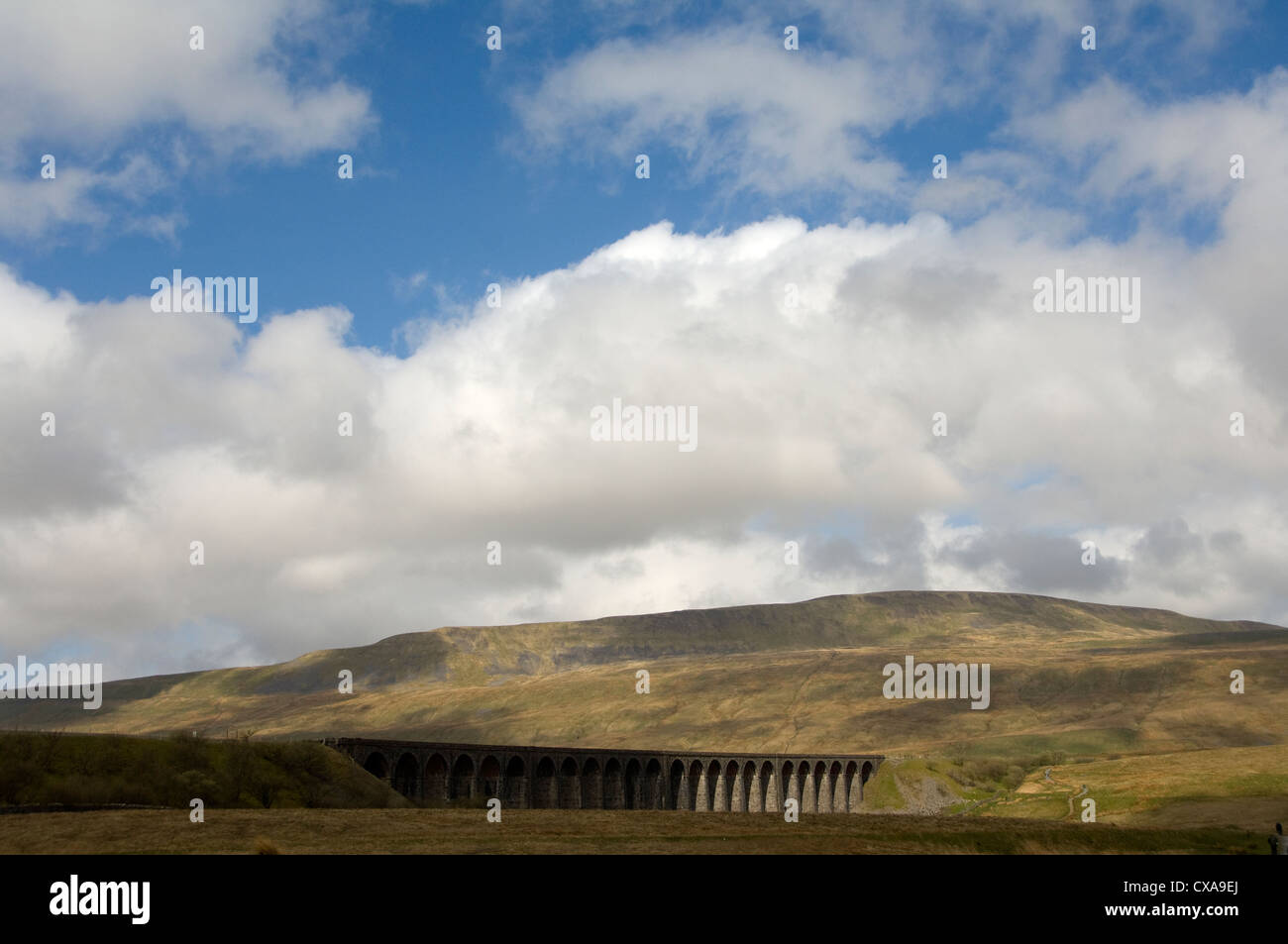 Ribblehead viaduct and Whernside Stock Photo - Alamy