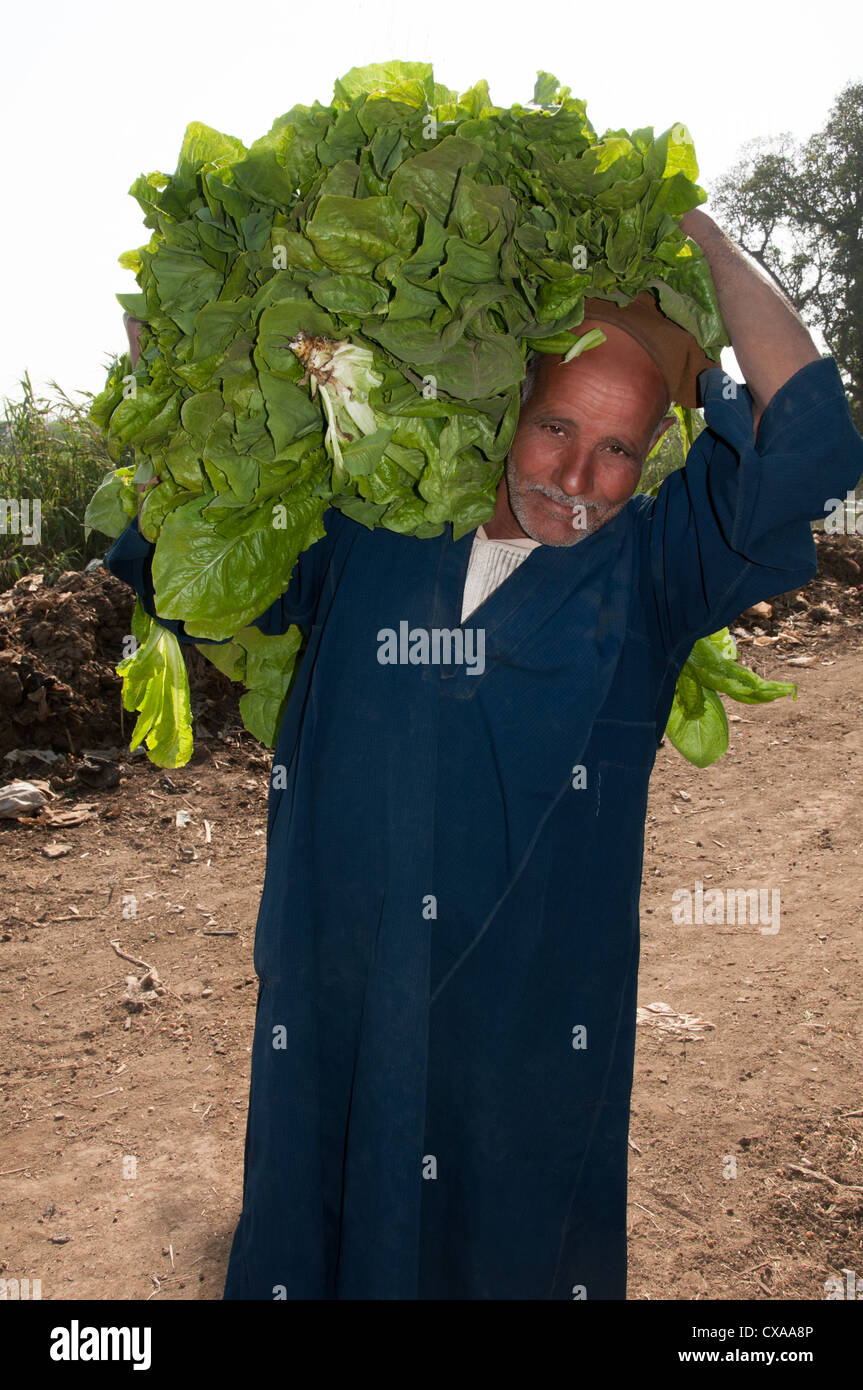 Egyptian farmers hi-res stock photography and images - Alamy
