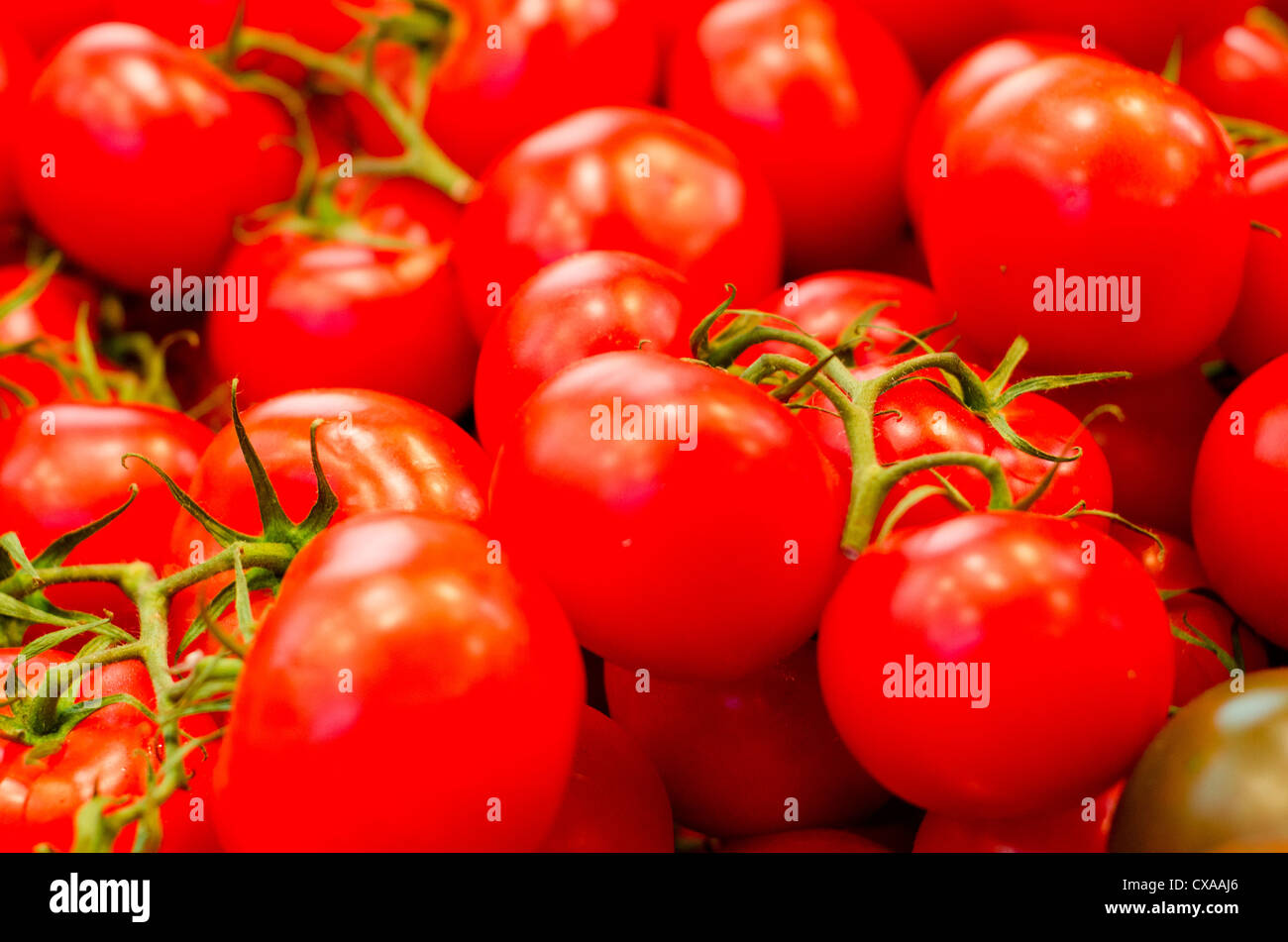 Tomatoes stacked at La Boqueria Market in Barcelona, Catalonia, Spain ...