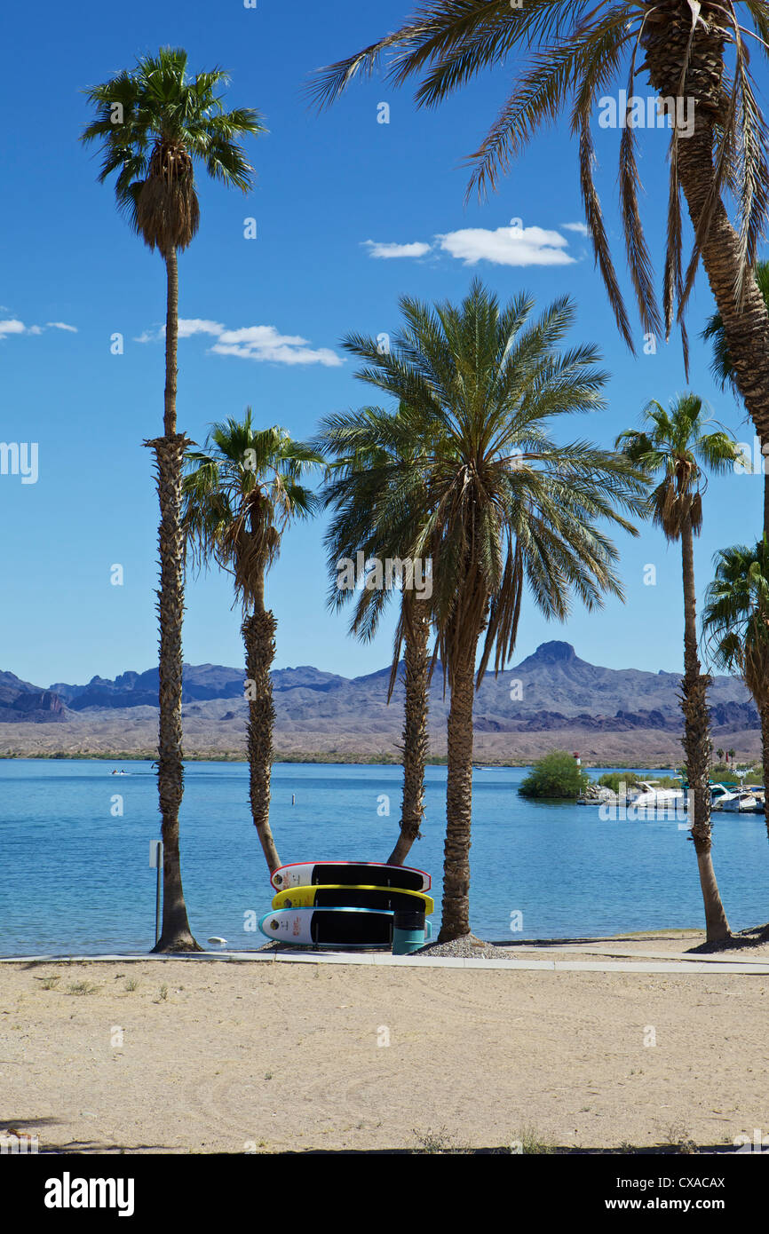 Palm trees on lake hi-res stock photography and images - Alamy