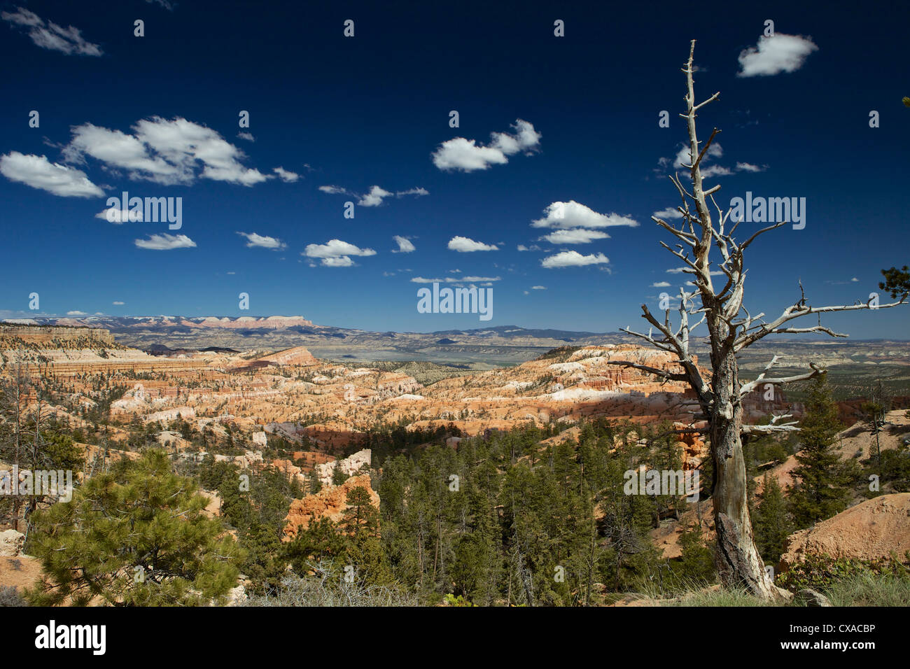 Inspiration point bryce canyon hi-res stock photography and images - Alamy