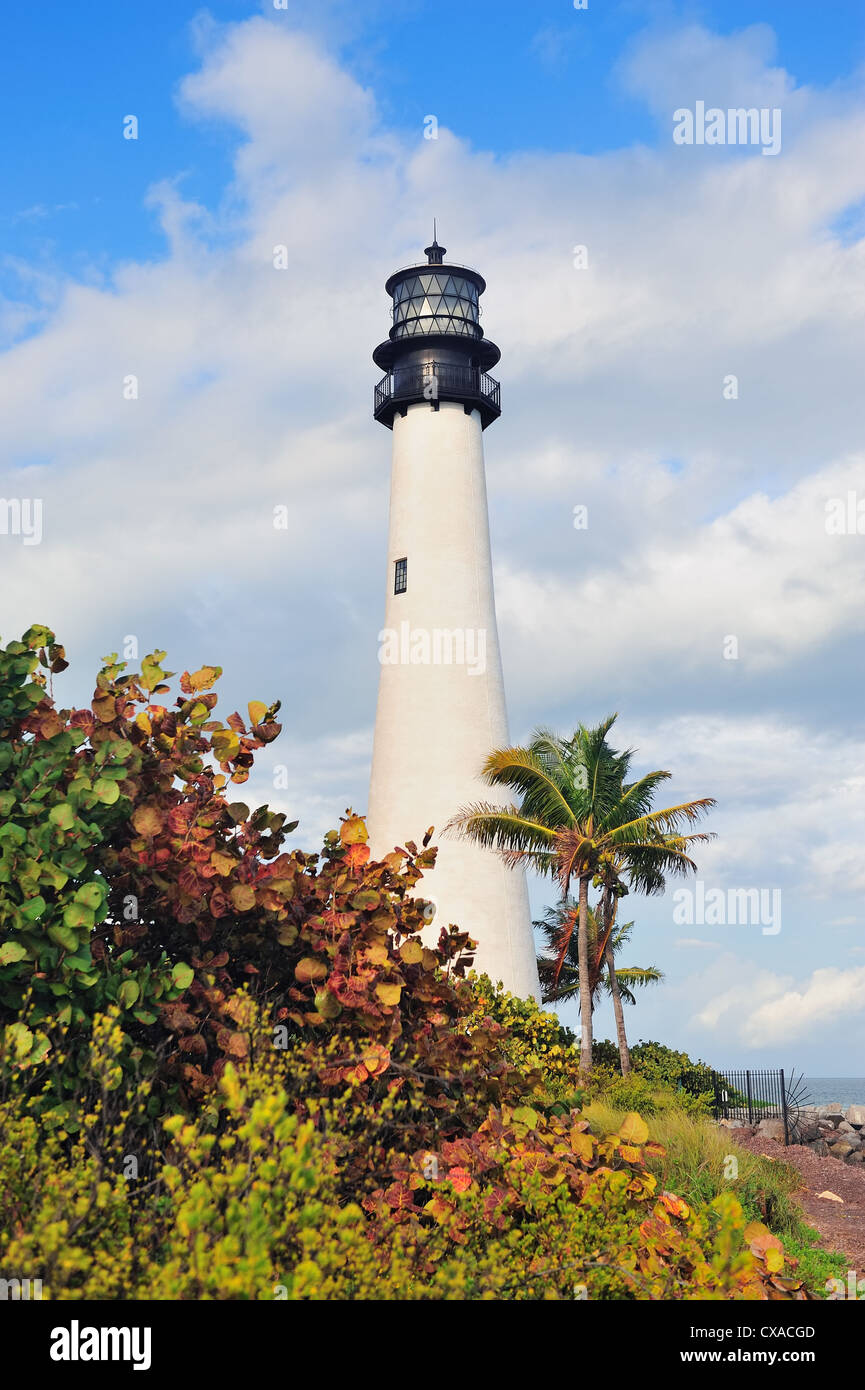 Cape Florida Light lighthouse with Atlantic Ocean and palm tree at ...