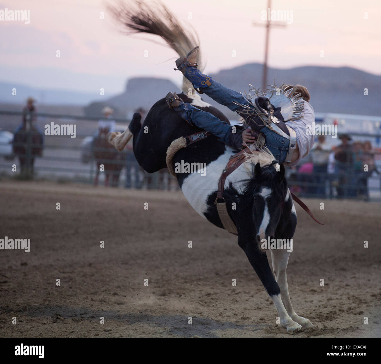 Shoshoni Labor Day Rodeo 2012 Stock Photo - Alamy