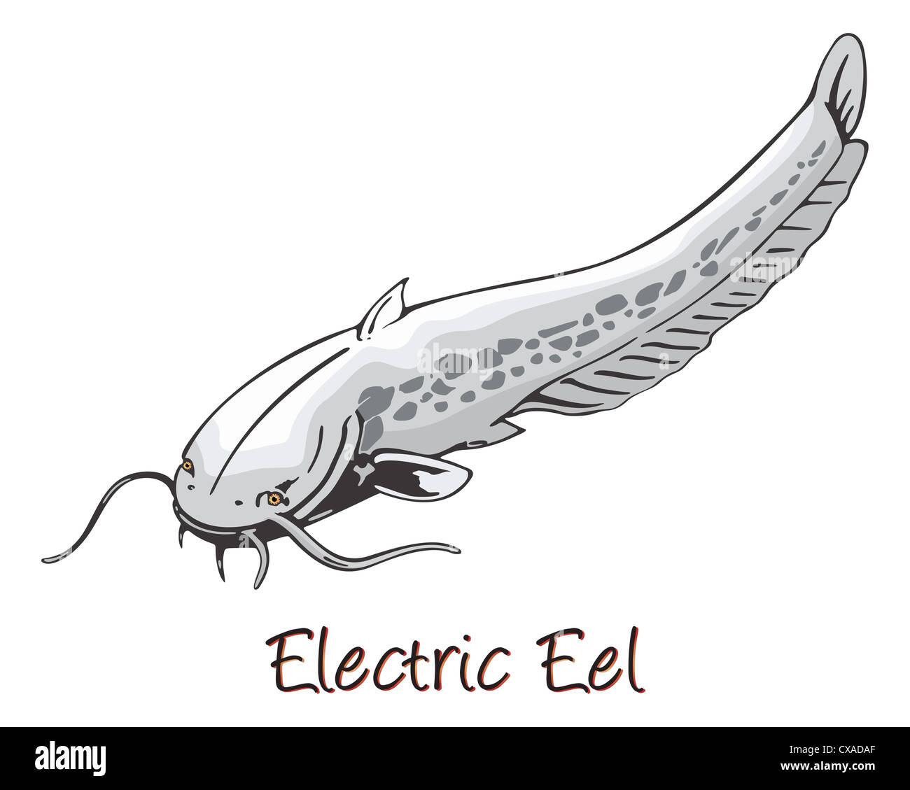 Electric Eel Shocking Fish