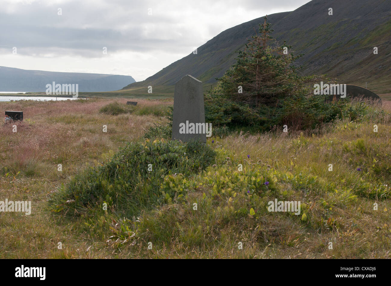 A photograph of the Old houses in the abandoned village of Hesteyri in ...