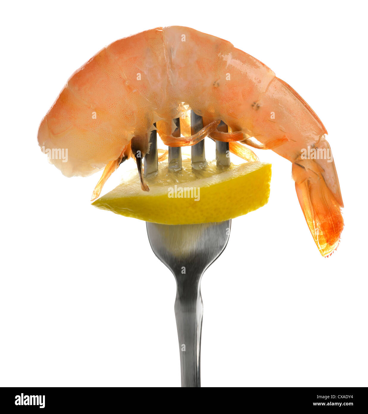 Prawn with fork hi-res stock photography and images - Alamy