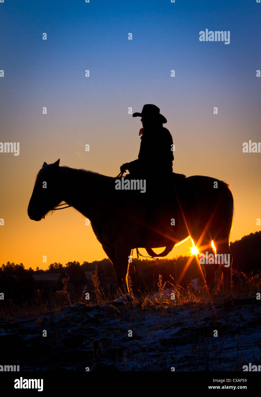 Cowboy on horse silhouetted against the rising sun and morning sky in ...