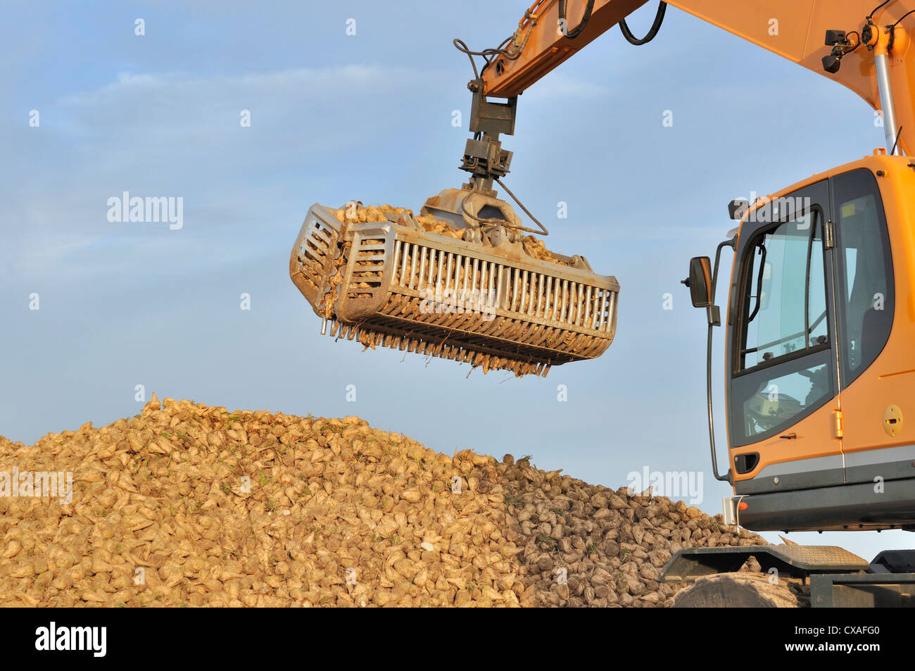 Sugar beet transport hi-res stock photography and images - Alamy