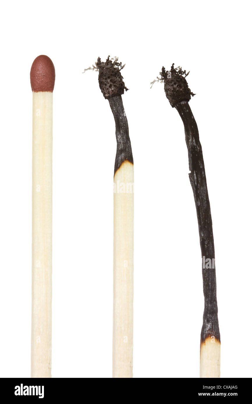 Group of matches, one match unburned, isolated on white background ...