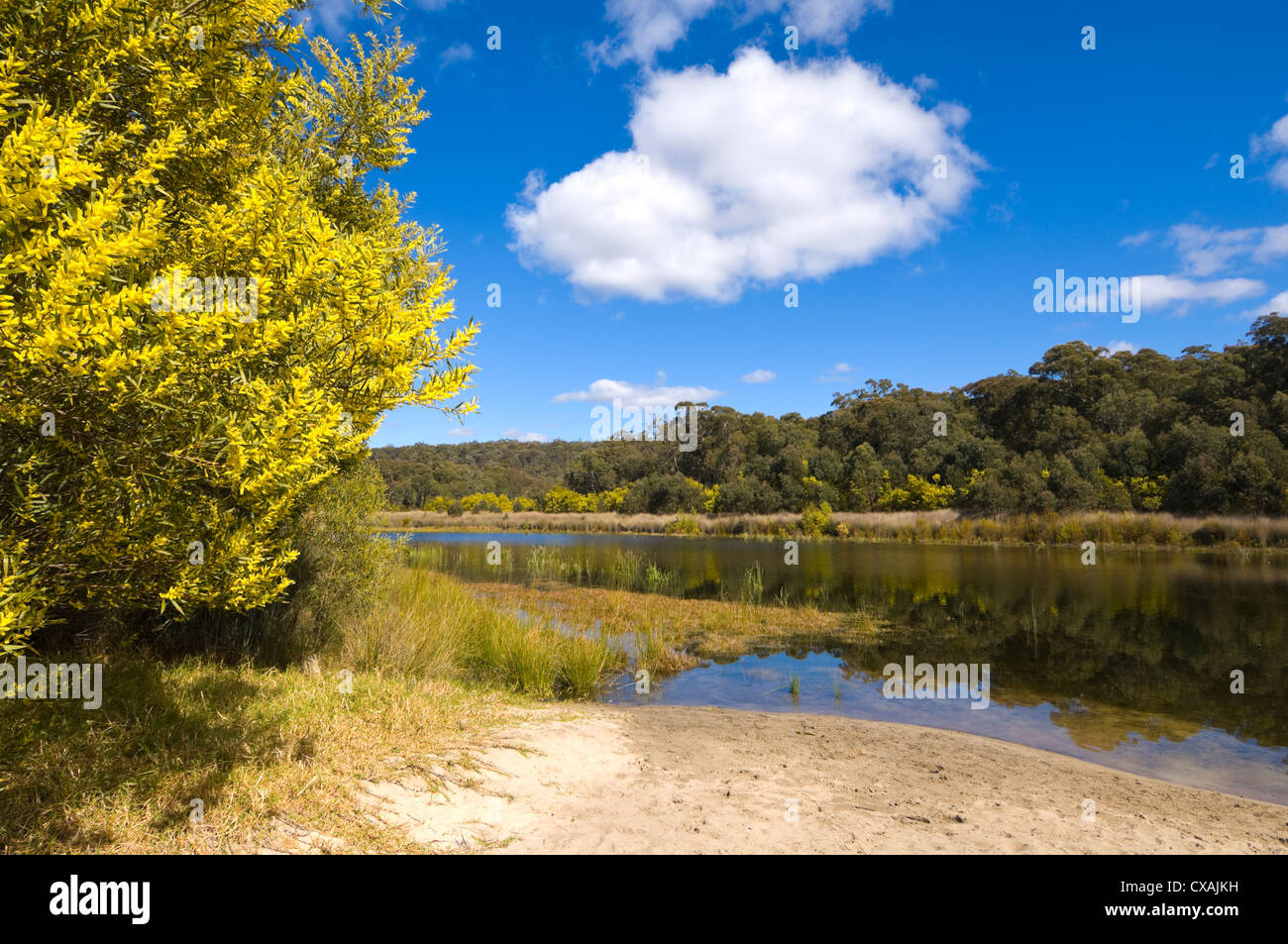 Thirlmere Lakes, New South Wales, Australia Stock Photo - Alamy