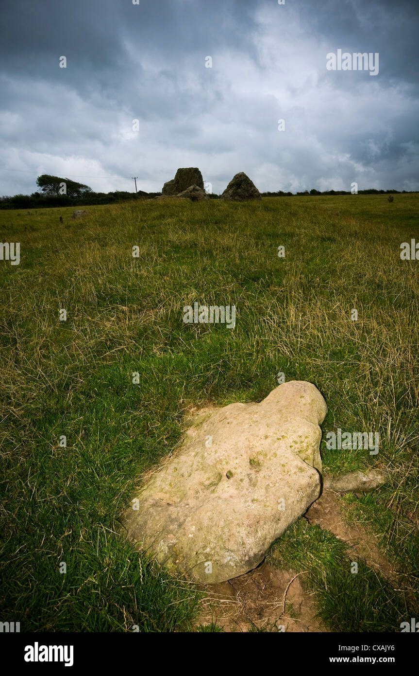 The Grey Mare and her Colts Neolithic chambered long barrow remains ...