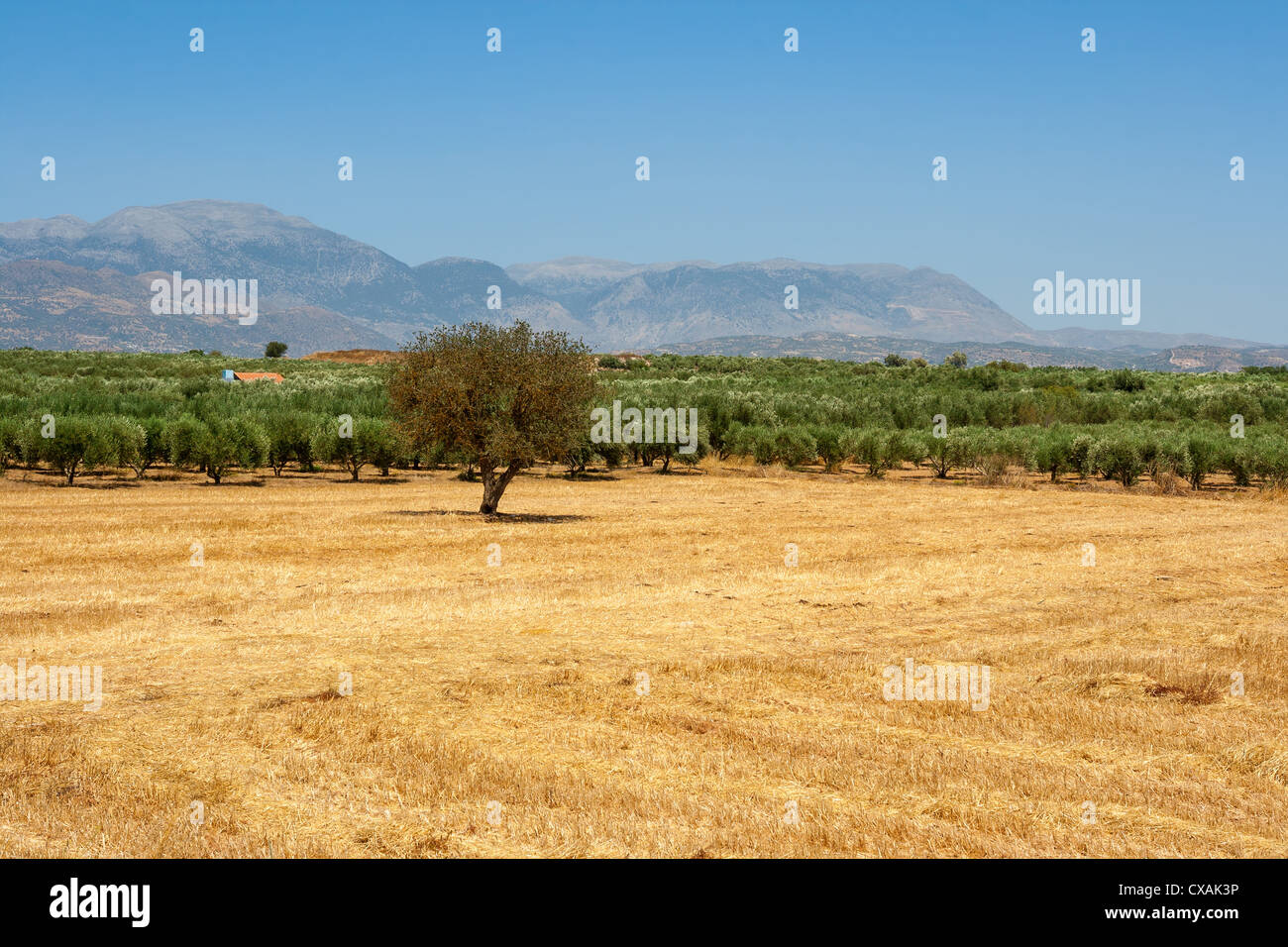Valley of messara hi-res stock photography and images - Alamy