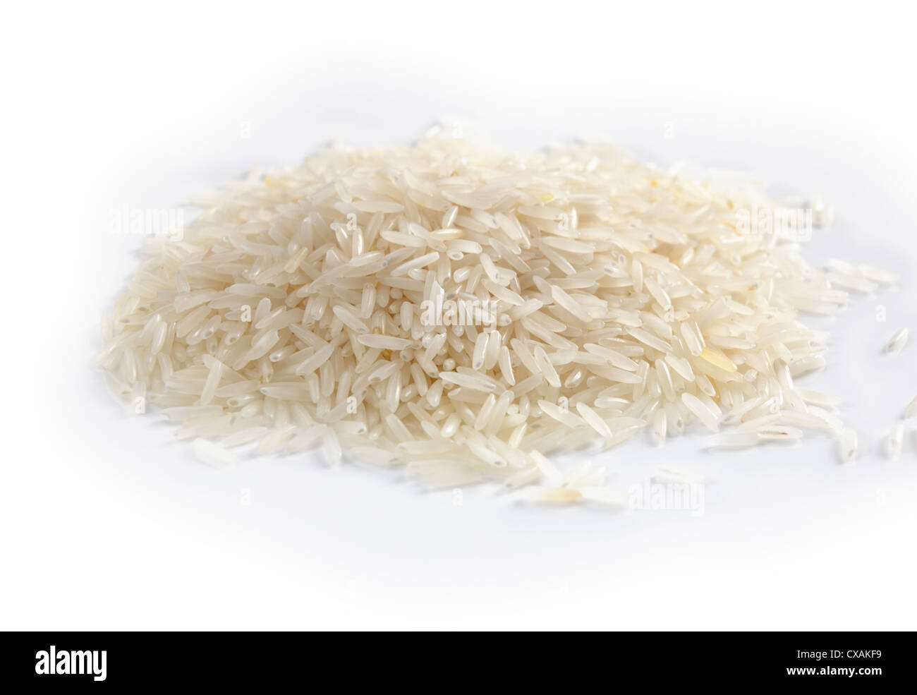 One of a set of four different rice varieties (Thai Jasmine, arborio ...