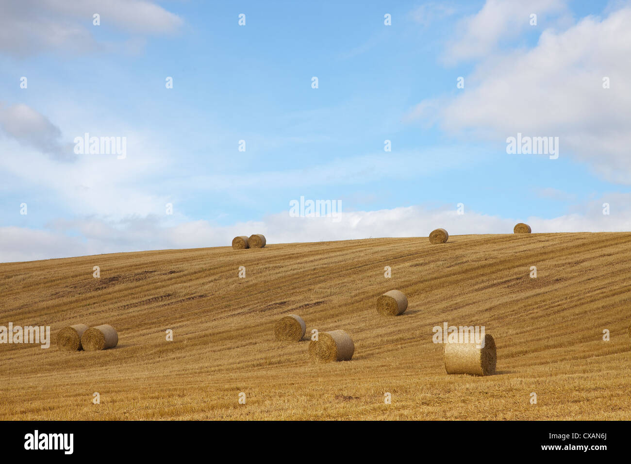 Straw bails in cut field Aiketgate, Eden Valley, Cumbria, England, UK ...