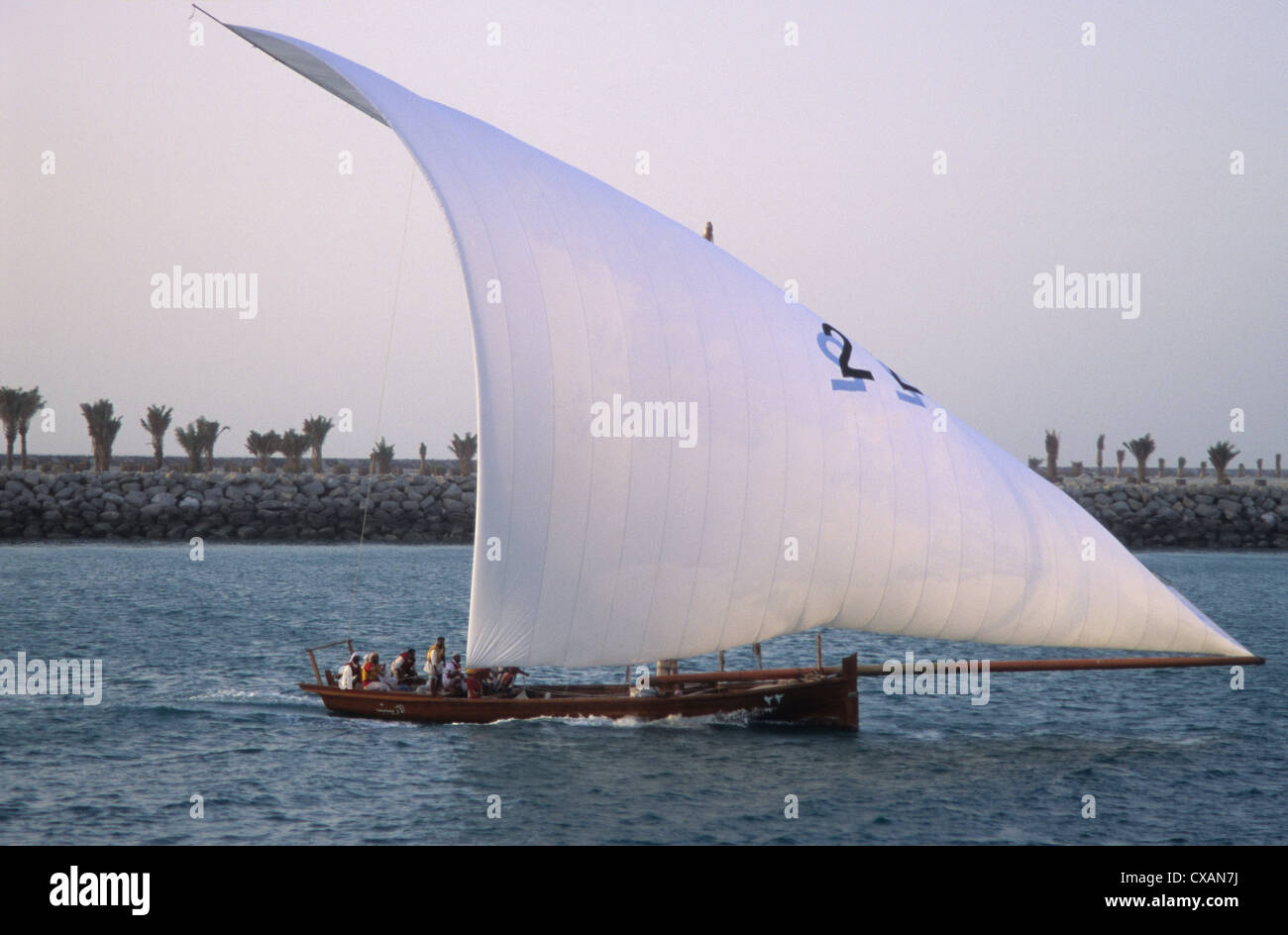 Abu Dhabi, United Arab Emirates, traditional racing Dhow approaching ...