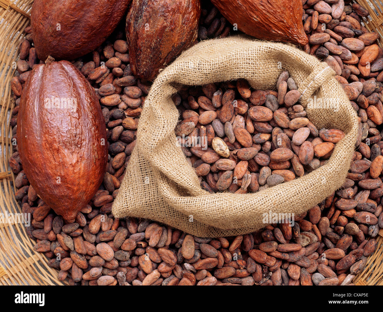 Cocoa Beans Sacks High Resolution Stock Photography and Images - Alamy