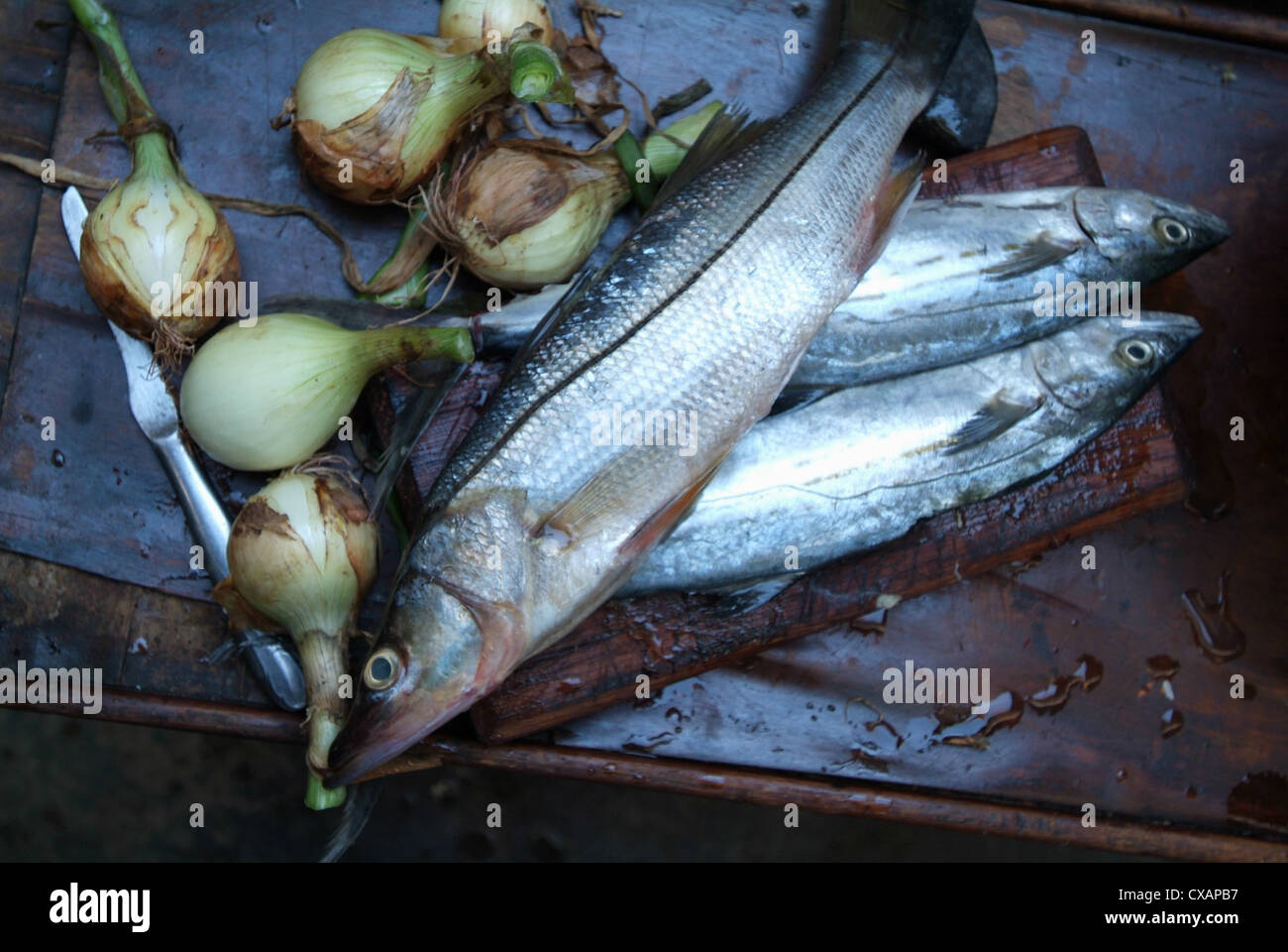 Selection freshly caught fish hi-res stock photography and images - Alamy