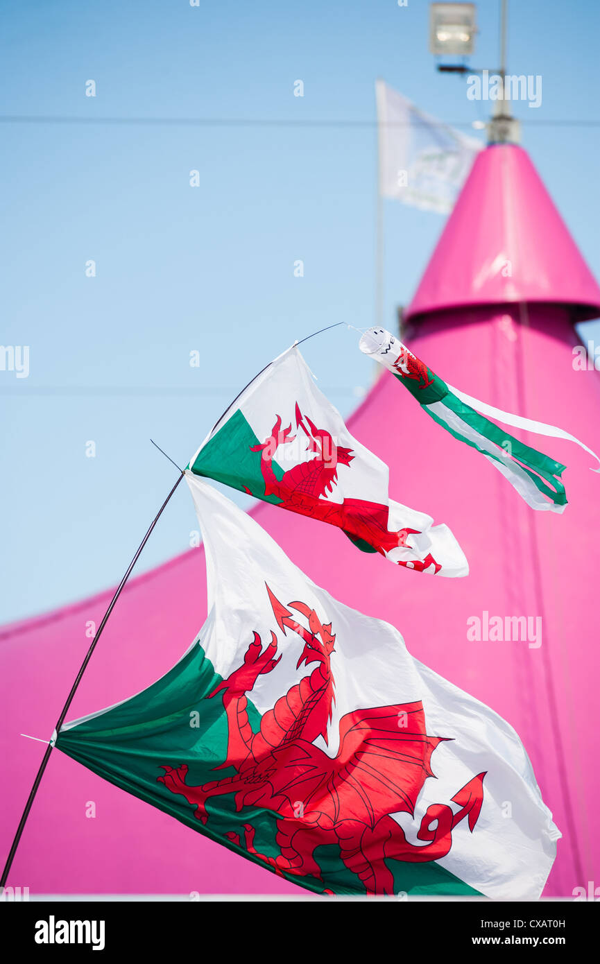 Welsh flags flying at The National Eisteddfod of Wales 2012 Stock Photo ...