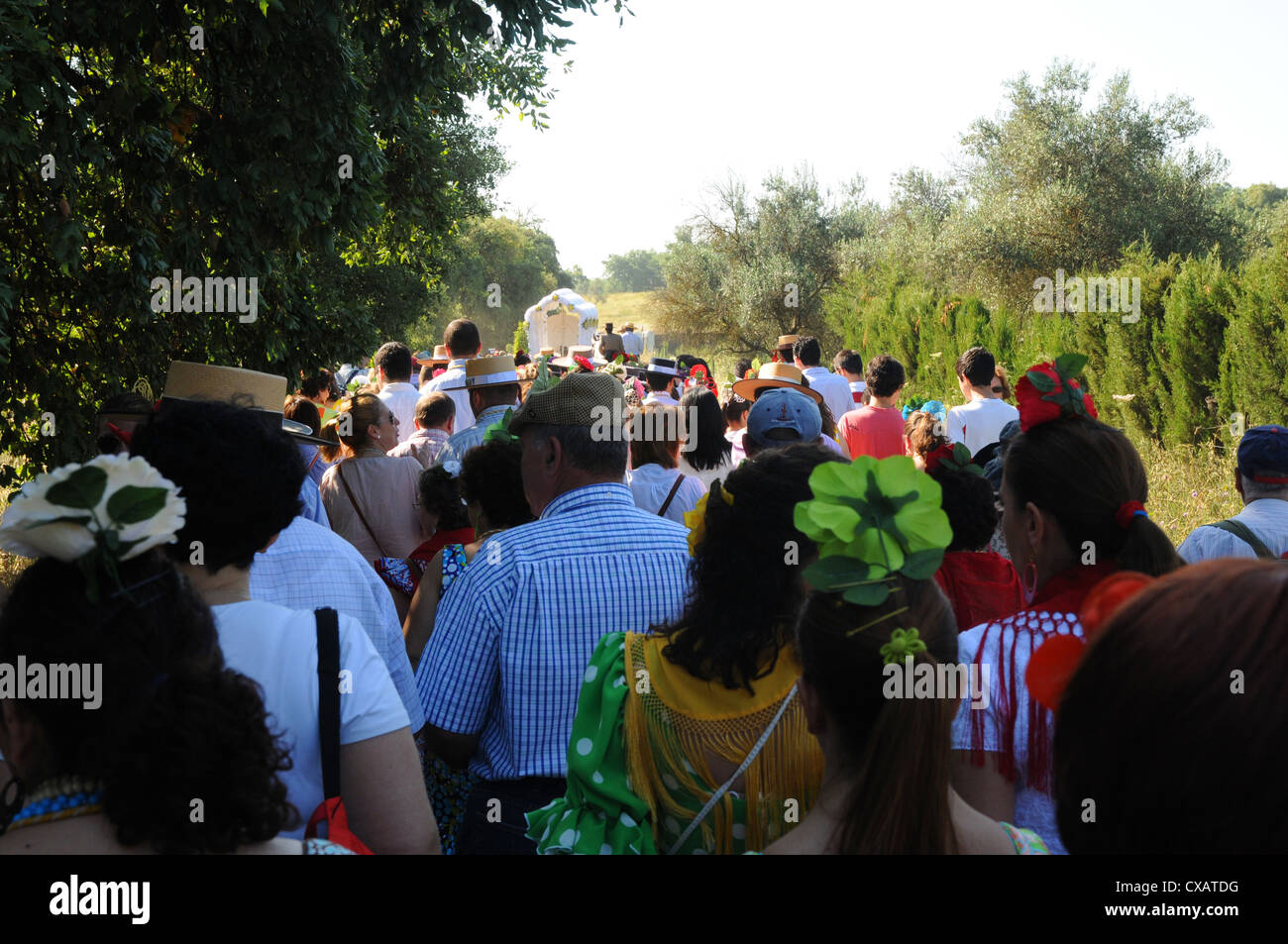 Crowd follows carriage pulled by two oxen on Romeria Stock Photo - Alamy