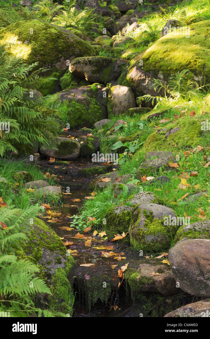Stream with stones hi-res stock photography and images - Alamy