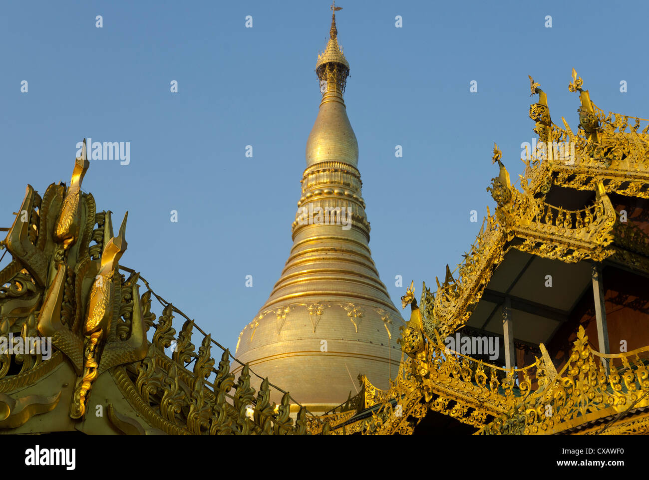 Shwedagon yangon hi-res stock photography and images - Alamy
