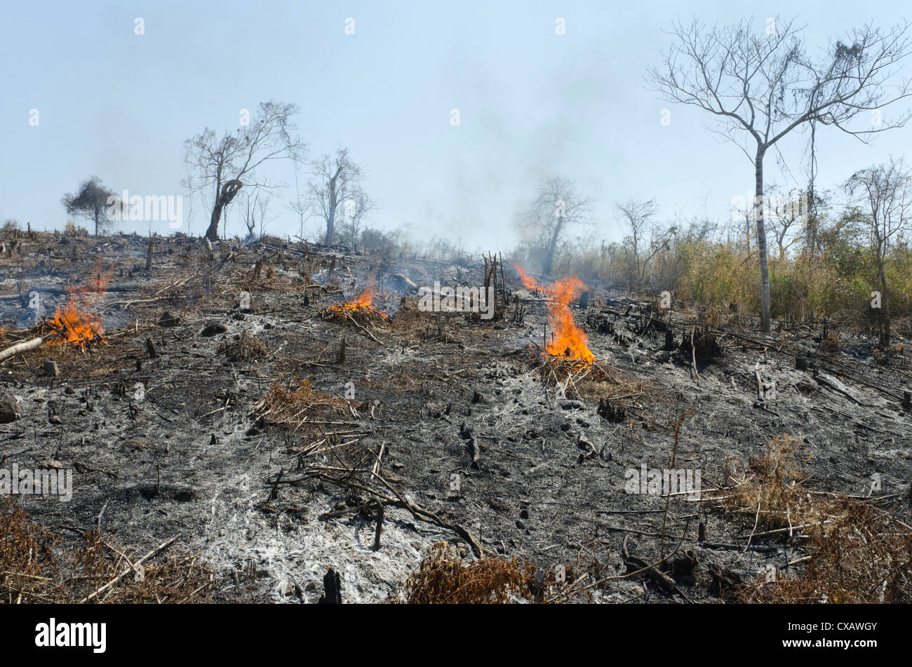 A burnt hill side after deforestation beside road from Pathein to ...