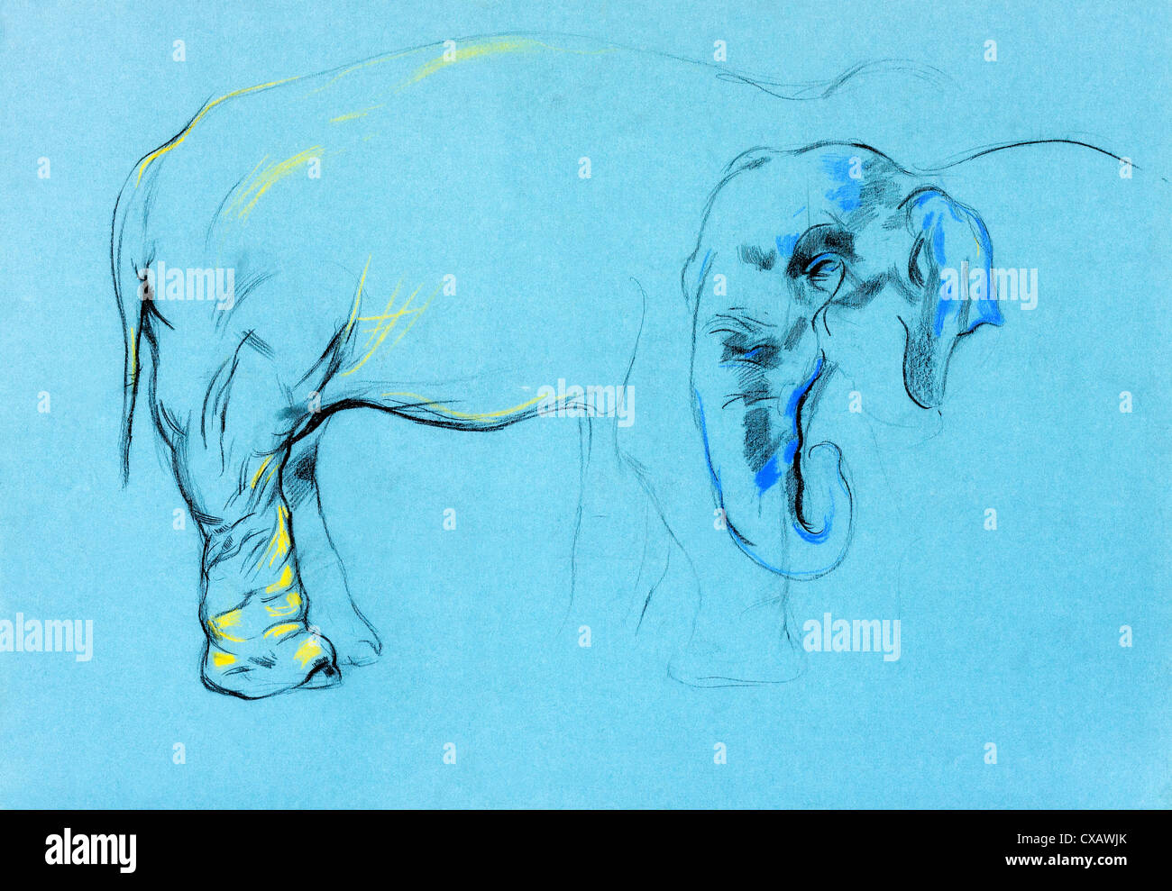 Original pastel and hand drawn painting or working sketch of elephant ...