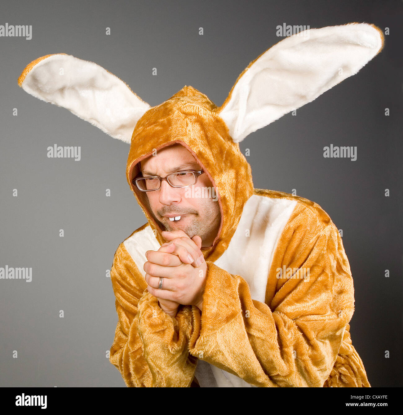 Rabbit funny frown hi-res stock photography and images - Alamy