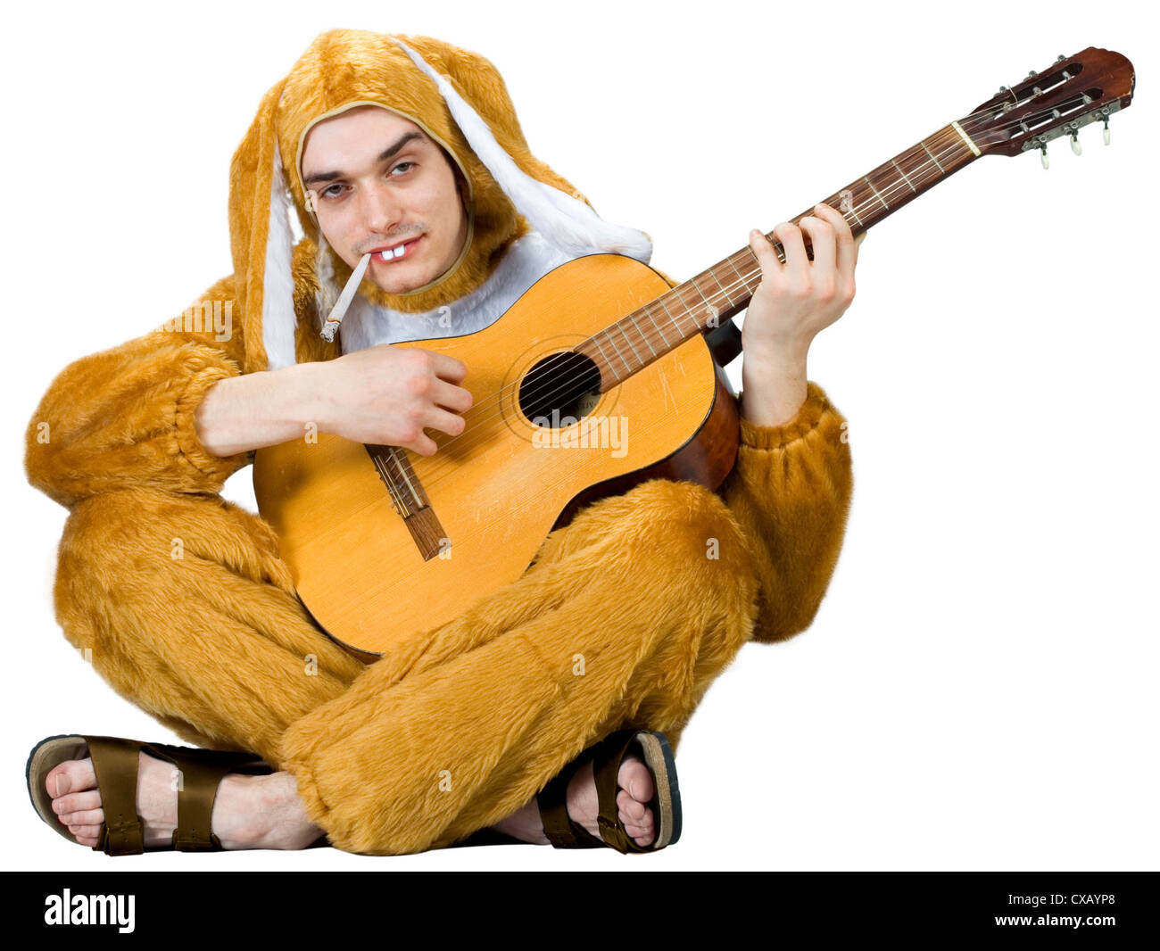 Stoner rabbit hi-res stock photography and images - Alamy