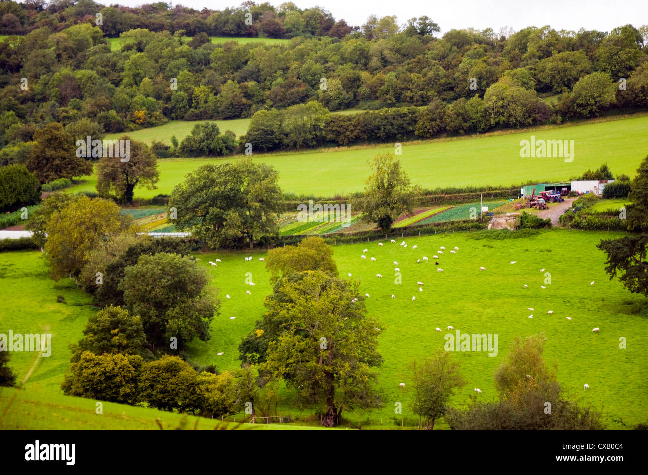 English farms hi-res stock photography and images - Alamy