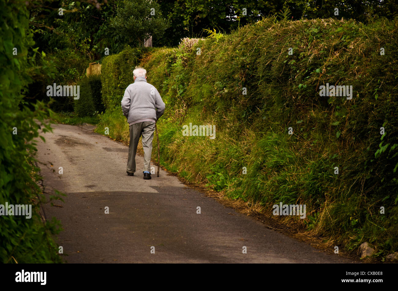 Elderly man with walking stick walks down a rural lane Stock Photo - Alamy