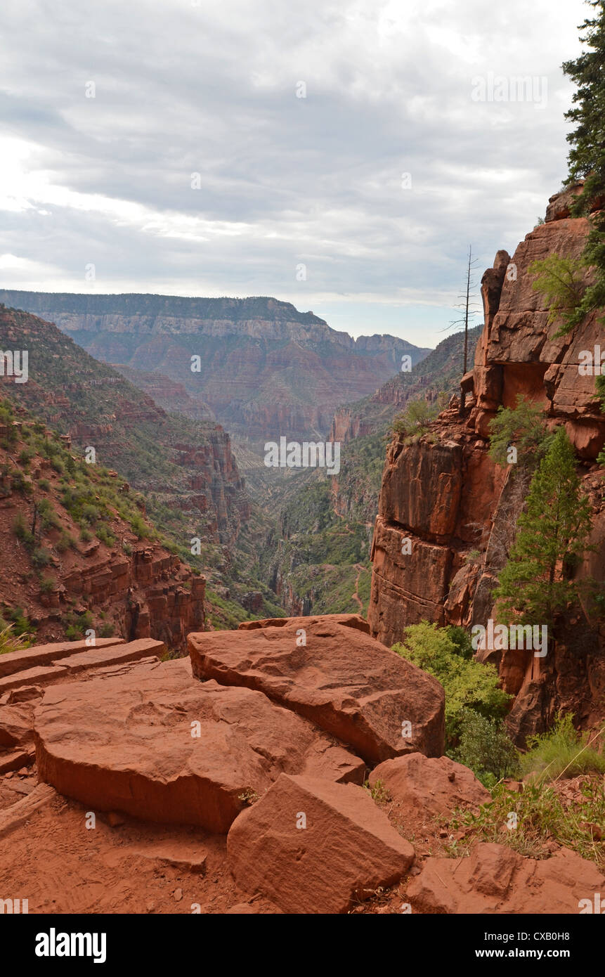 Inside the grand canyon hi-res stock photography and images - Alamy