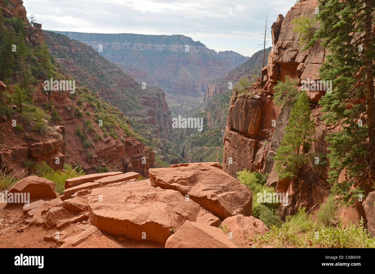 Inside the grand canyon hi-res stock photography and images - Alamy