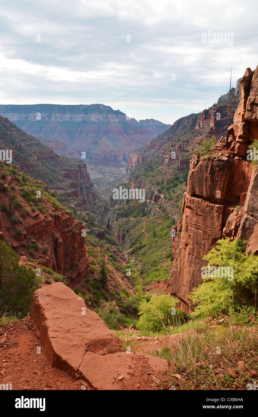 Canyon rim north trail hi-res stock photography and images - Alamy
