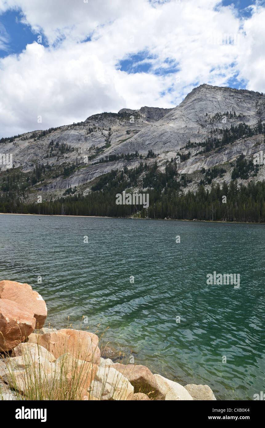 View of a Tenaya lake Yosemite national park, California, America Stock ...