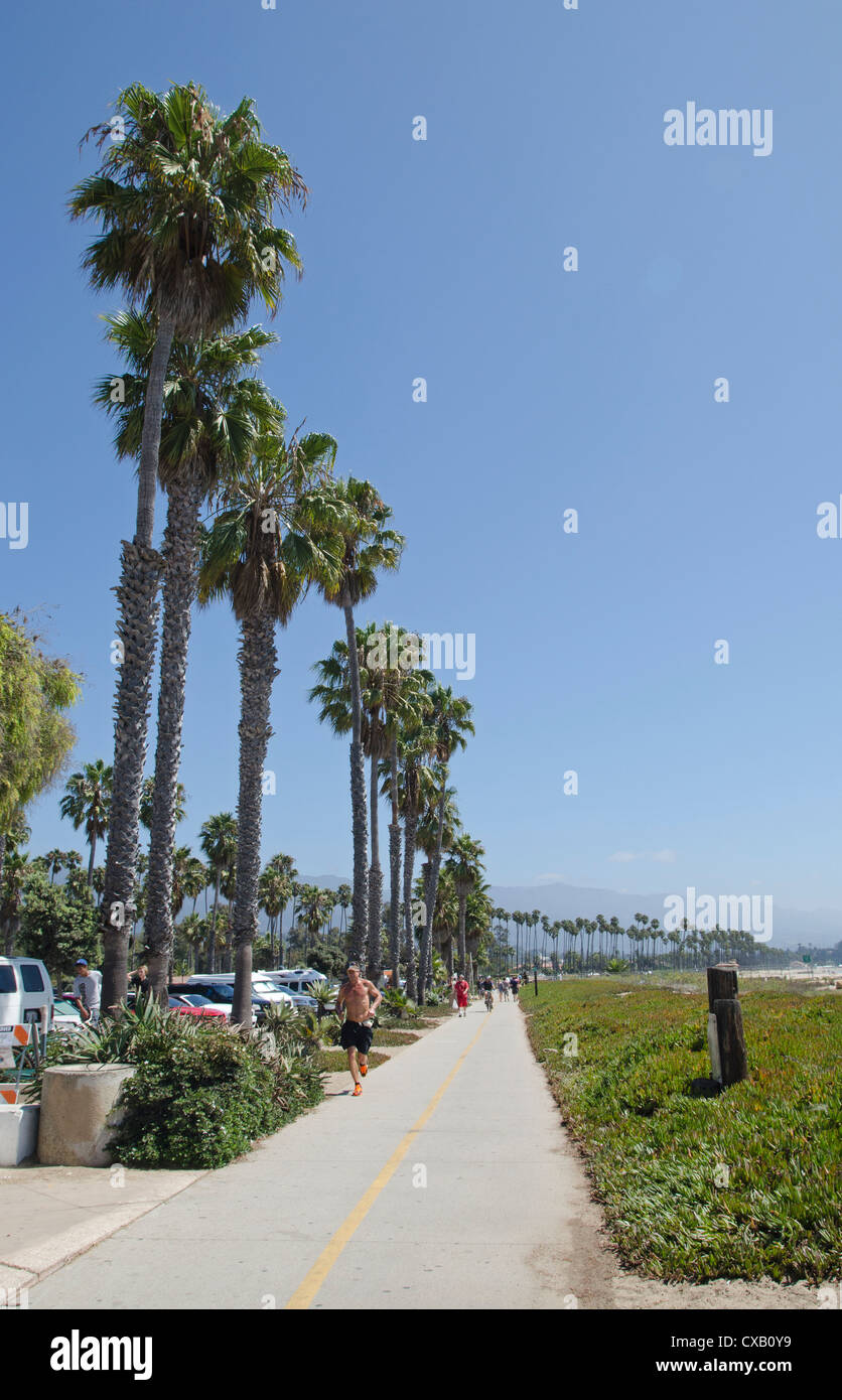 Joggers running on path by palm trees along Santa Barbara water front ...
