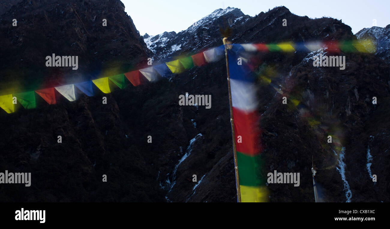 Buddhist prayer flags blowing in the wind, Langtang Valley, Nepal Stock ...