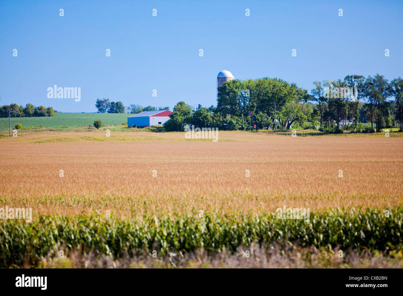 Mid west farm hi-res stock photography and images - Alamy