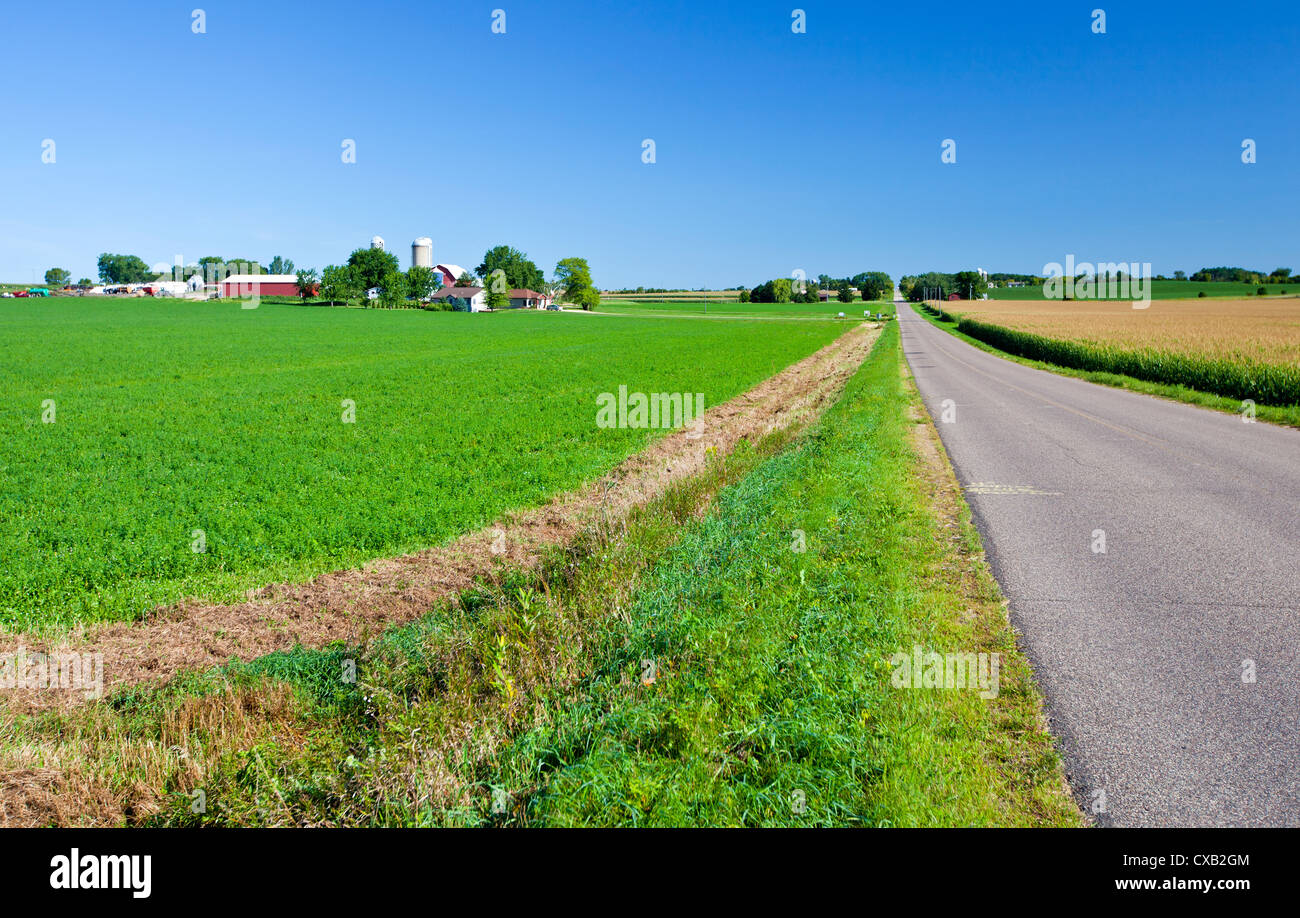 Midwestern corn fields hi-res stock photography and images - Alamy