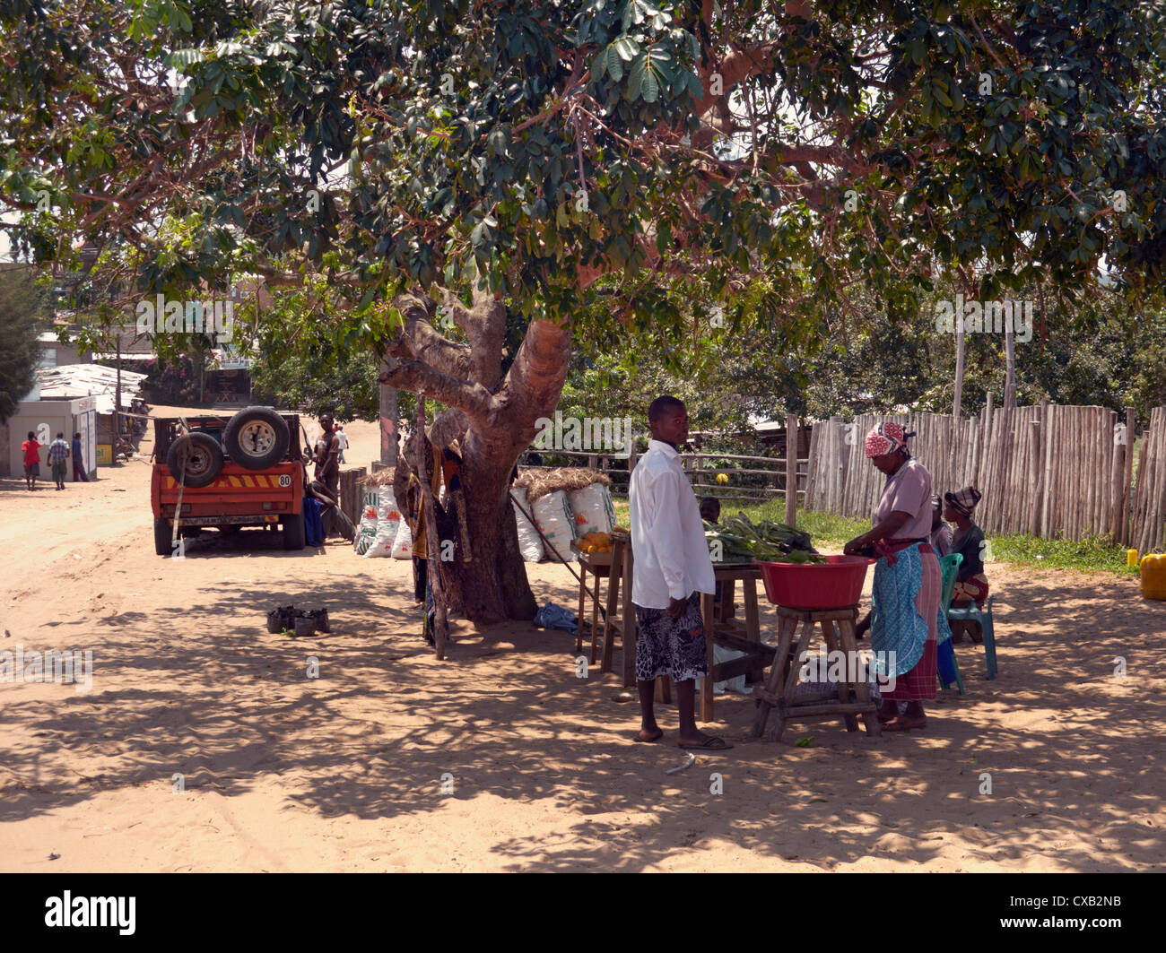 Woman with roadside stall selling fruit and vegetables. Ponta do Ouro ...