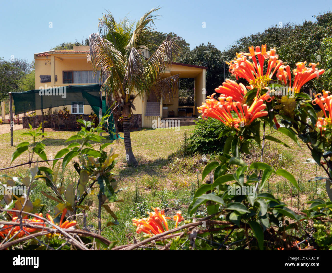 House and garden. Ponta do Ouro, southern Mozambique Stock Photo - Alamy
