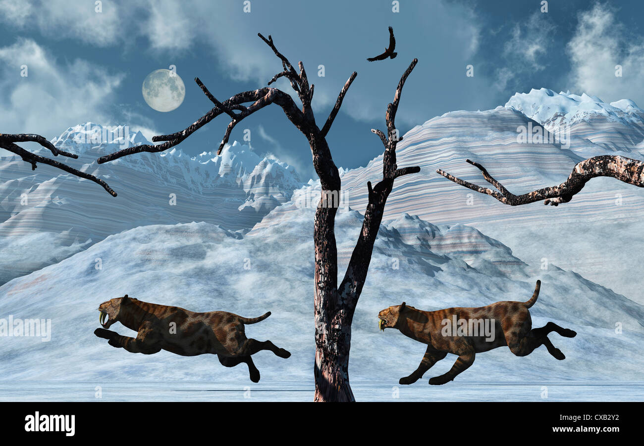 Sabre tooth tiger hi-res stock photography and images - Alamy