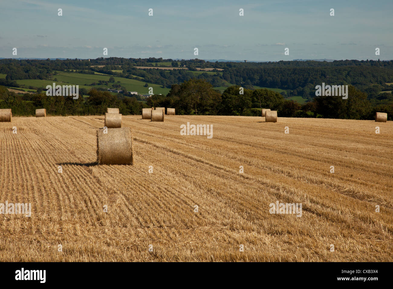 Large round hay bales after harvesting in Wiltshire country side Stock ...